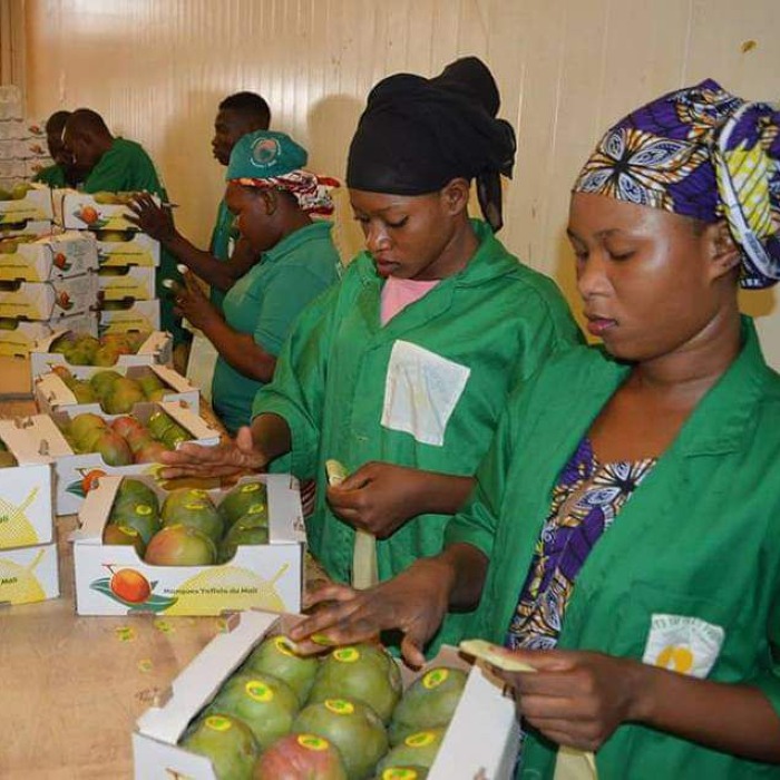 WACOMP Business Matchmaking