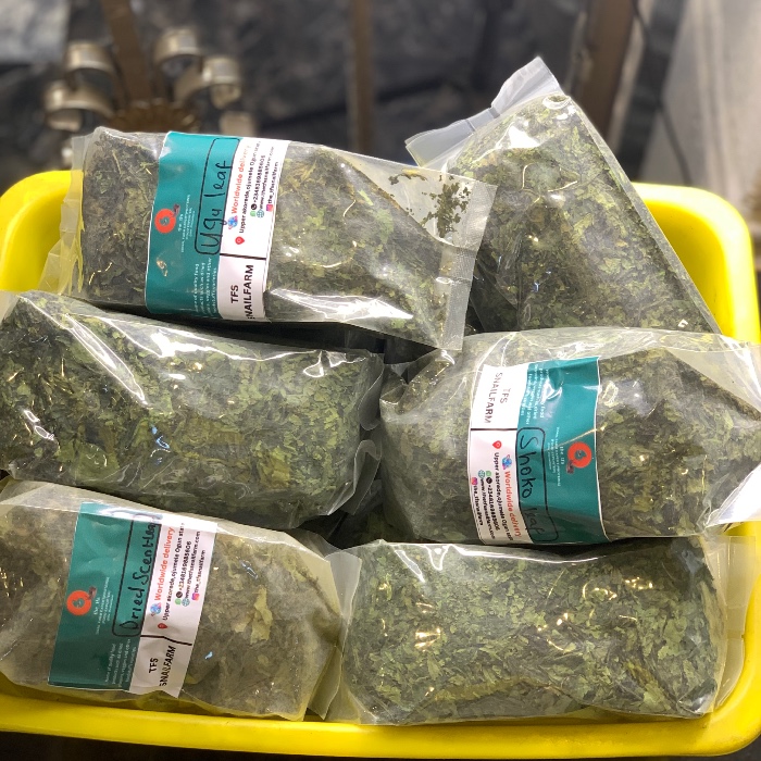 WACOMP Business Matchmaking